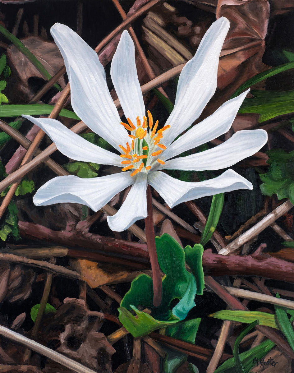 Grasping Light (original oil painting) - *SOLD* – Klooster Art